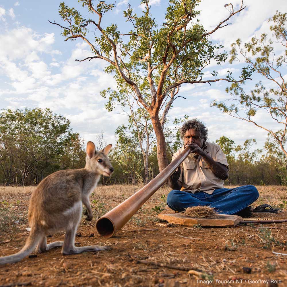 Places to Visit in Northern Territory | Things to do in the NT | Vacaay