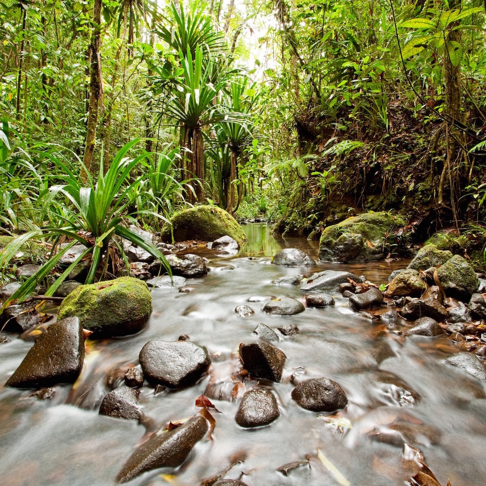 Places to Visit in Fiji | Things to do in Fiji | Vacaay