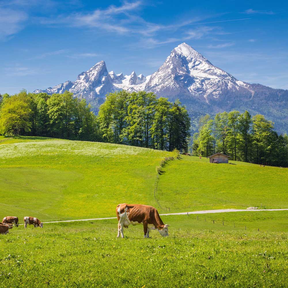 Places to Visit in Spain | Things to do in Spain | Vacaay